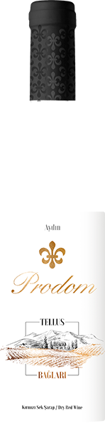 Ürünlerimiz - Prodom