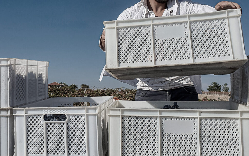 Prodom - PRODOM WINES